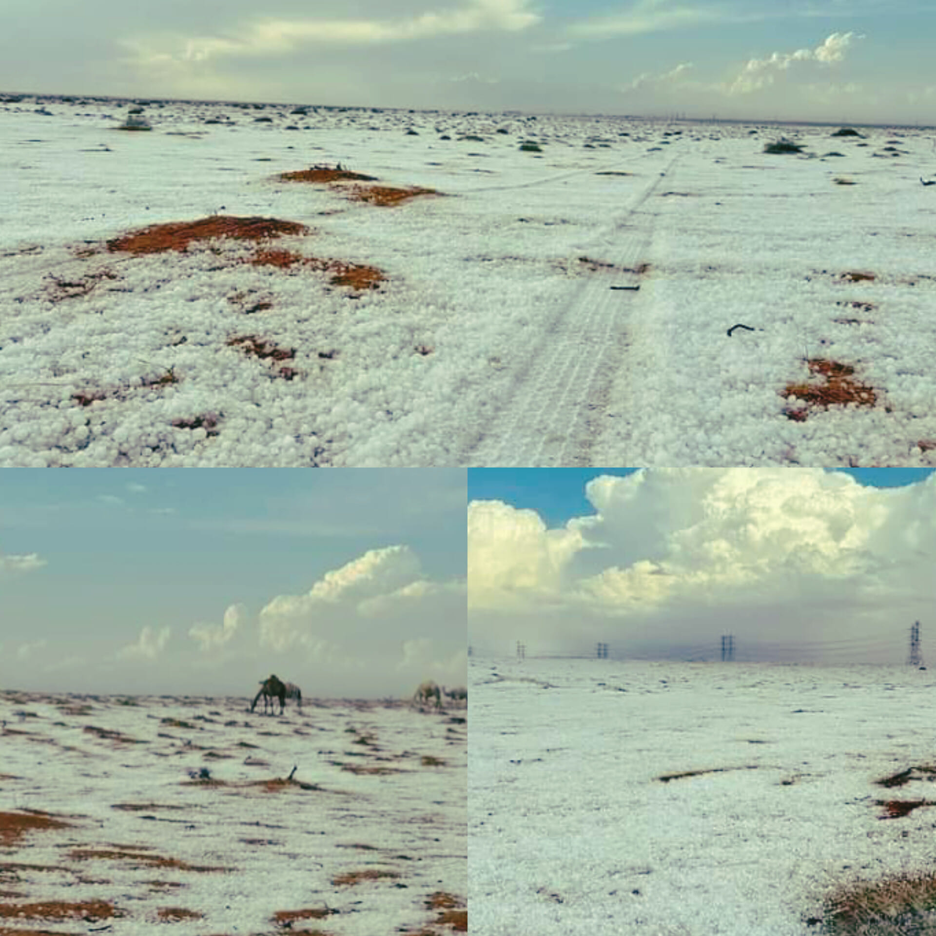 Rare Snowfall Transforms Al-Jawf Desert into a Winter Wonderland in ...